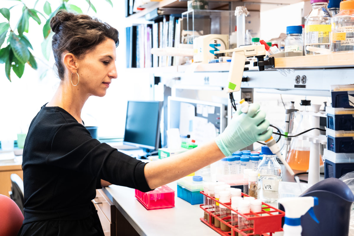 Six MacArthur Fellows in 2019 Class Born Outside United States